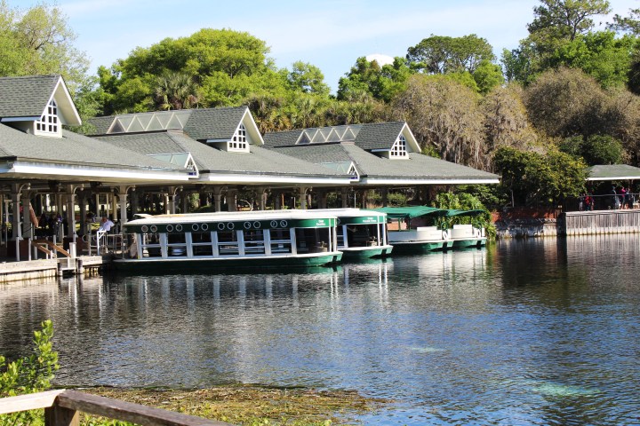 Exploring Silver Springs State Park