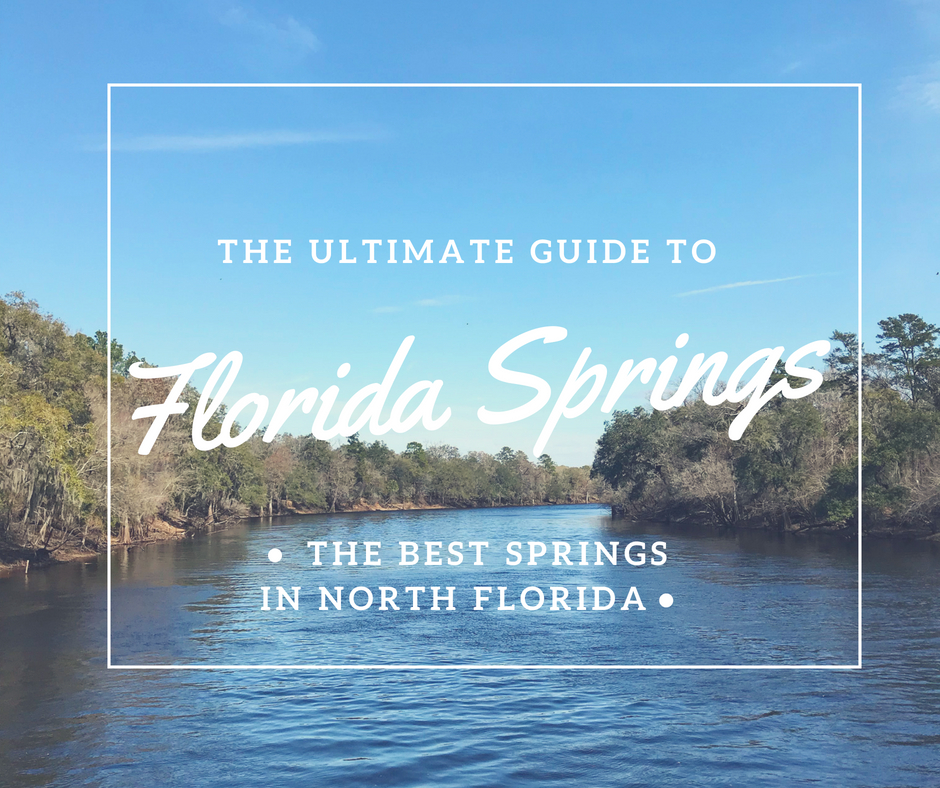 The Ultimate Guide to North Florida’s Springs