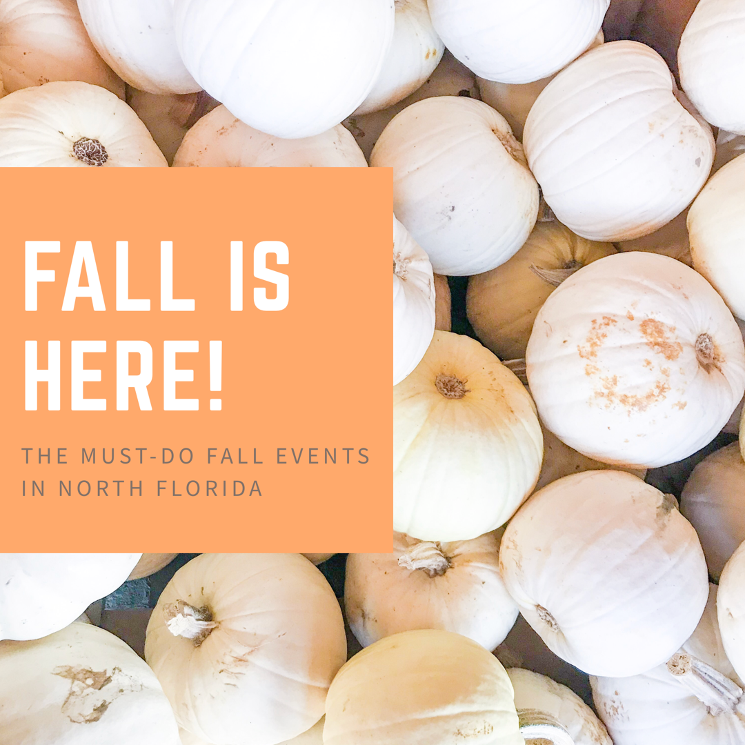 Top Fall Events in North Florida