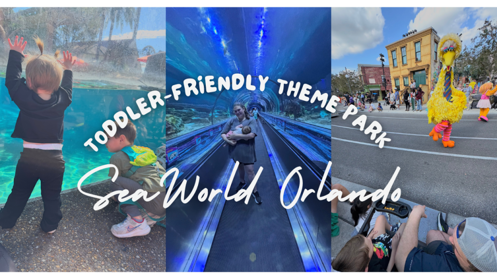 Experiencing SeaWorld Orlando With Toddlers – The Best Baby and Toddler ...